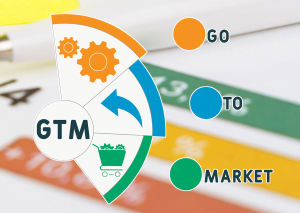 Go-To-Market Strategy Explained - SM Insight
