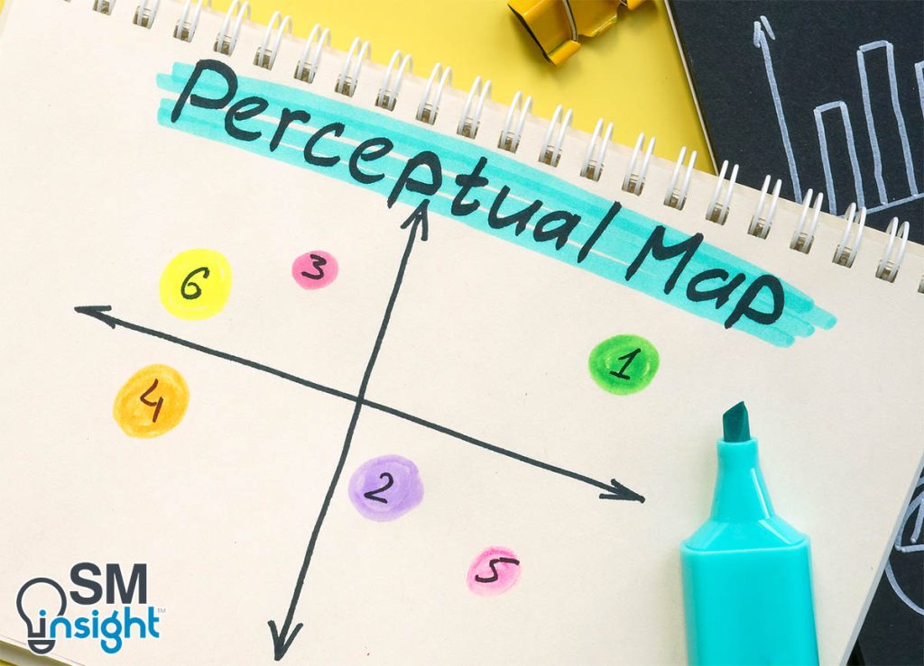 Perceptual Map Explained - SM Insight
