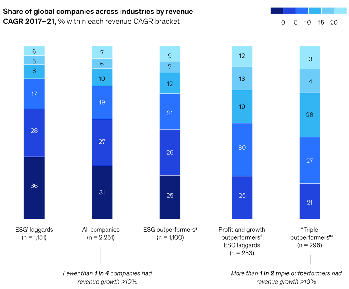 Mastering the Triple Bottom Line - SM Insight